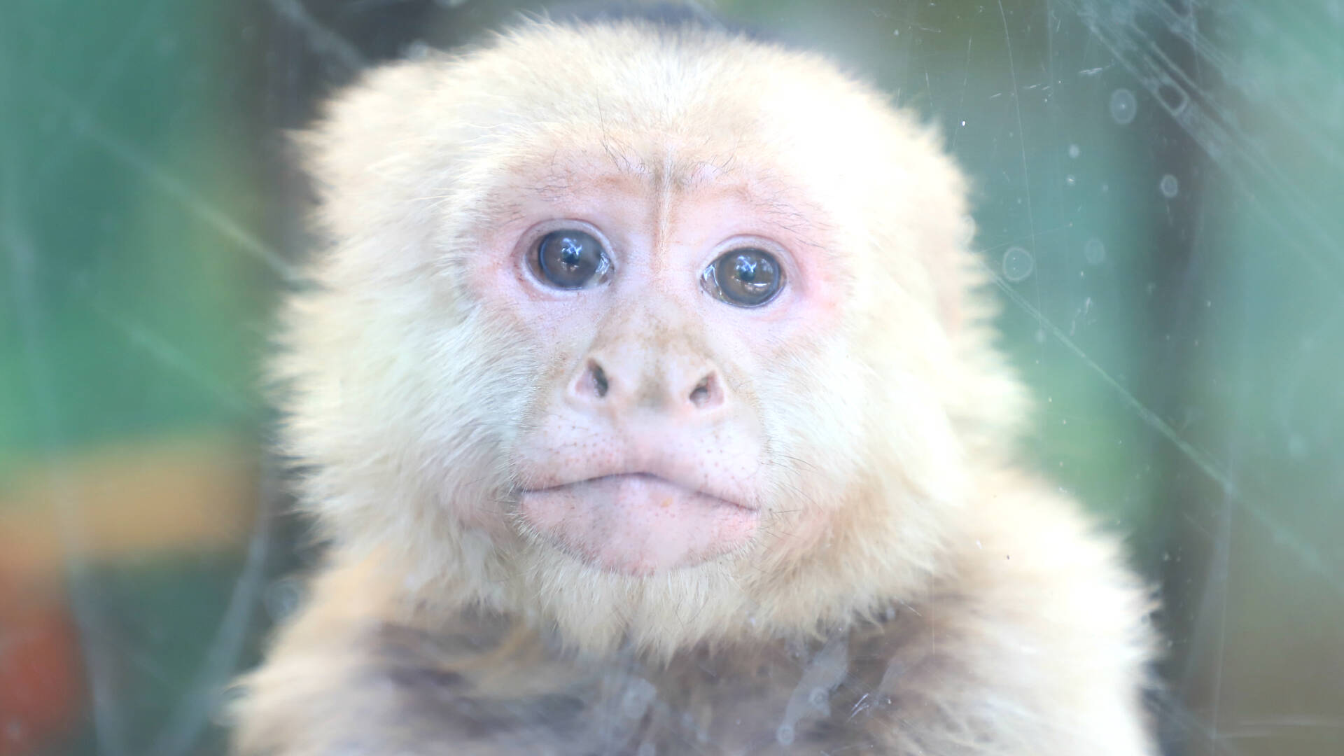 Batán Parque Ecológico, un paraíso verde en San Jerónimo