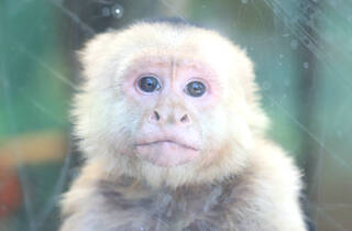 Batán Parque Ecológico, un paraíso verde en San Jerónimo