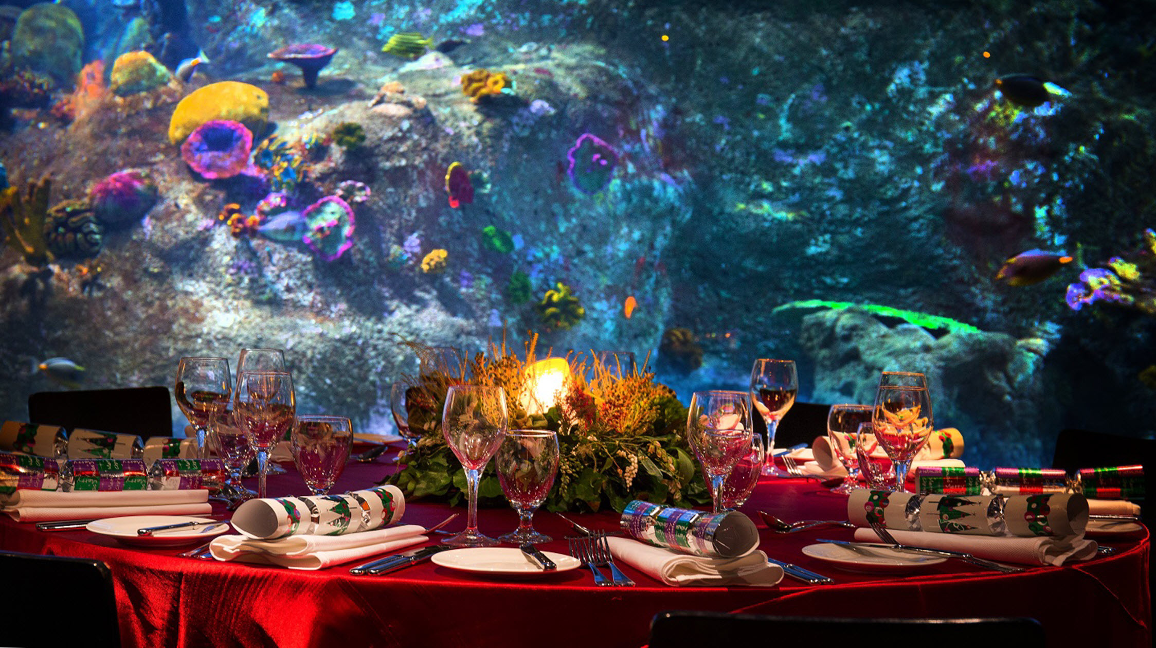 Christmas in July at Sea Life | Things to do in Melbourne
