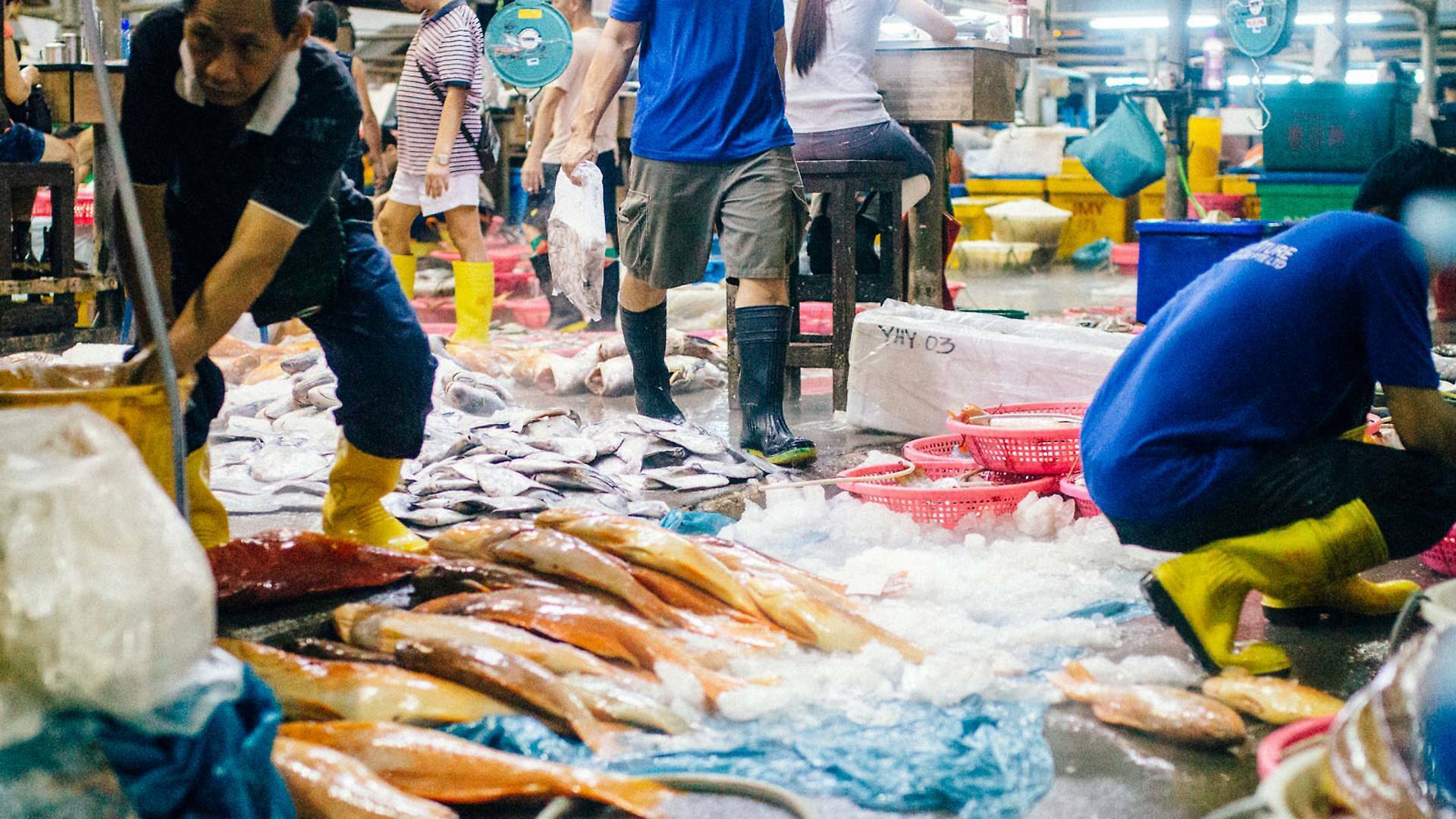 9 Best Wet Markets in Singapore