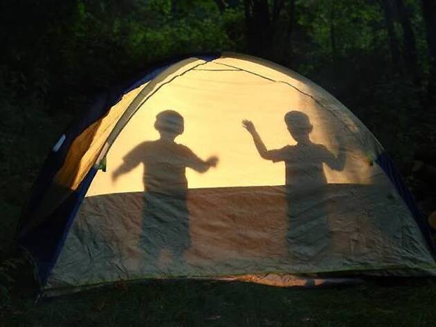 Family Camping with the Urban Park Rangers | Things to do in New York Kids