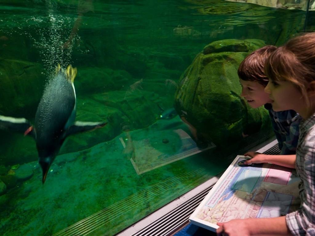 21 Best Things to Do in Montreal With Kids All Year Round