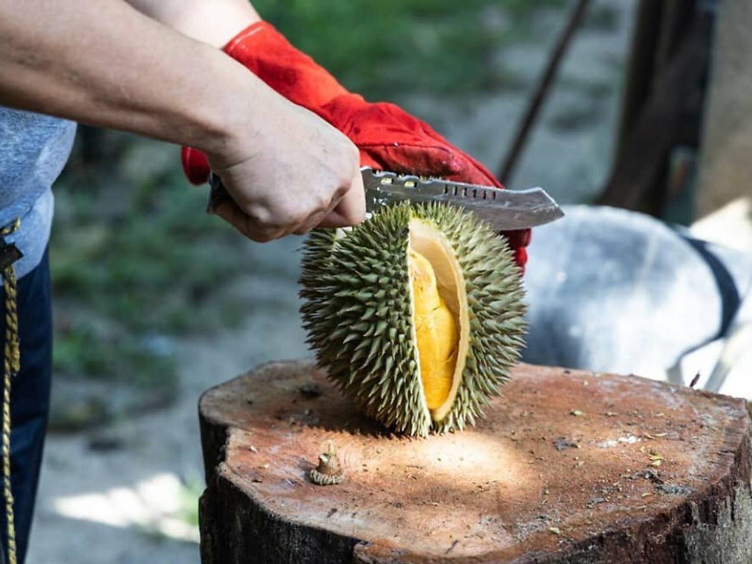 Your Ultimate Guide To Durian In Singapore