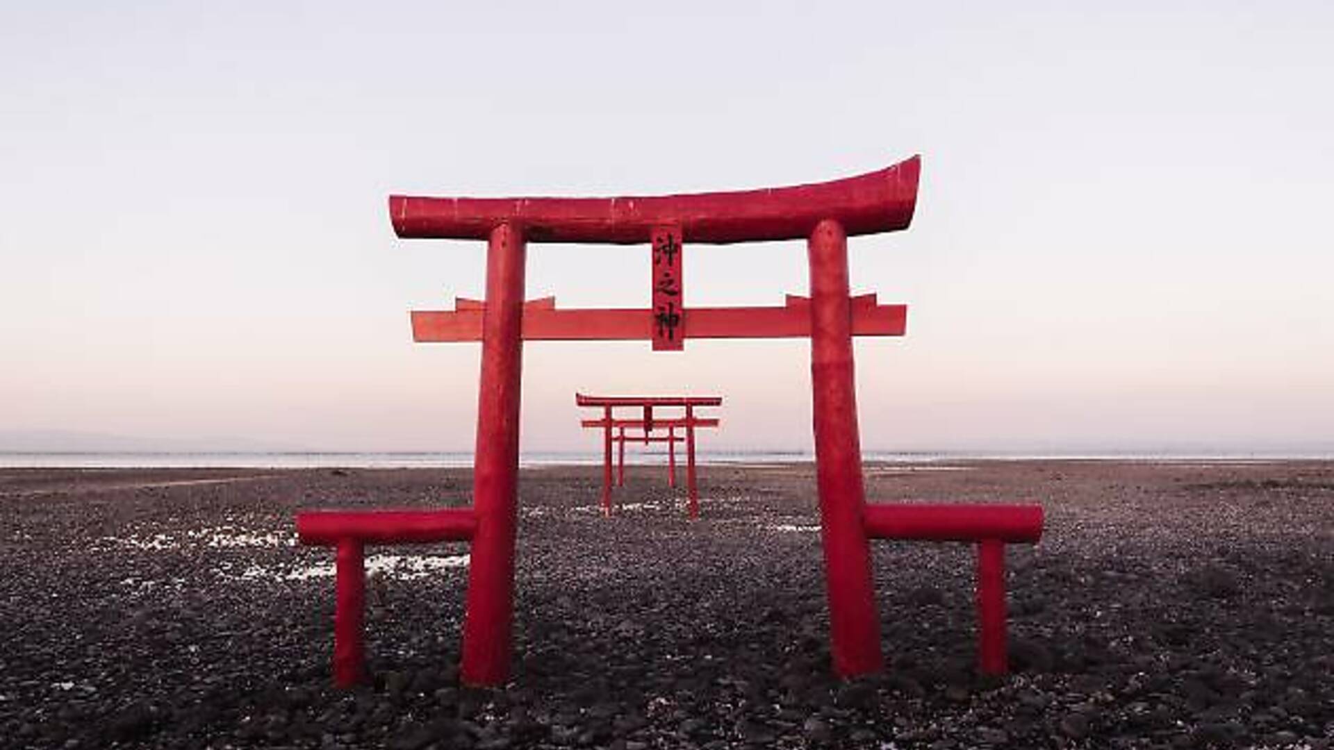 Guide to Japanese sake by region | Time Out Tokyo