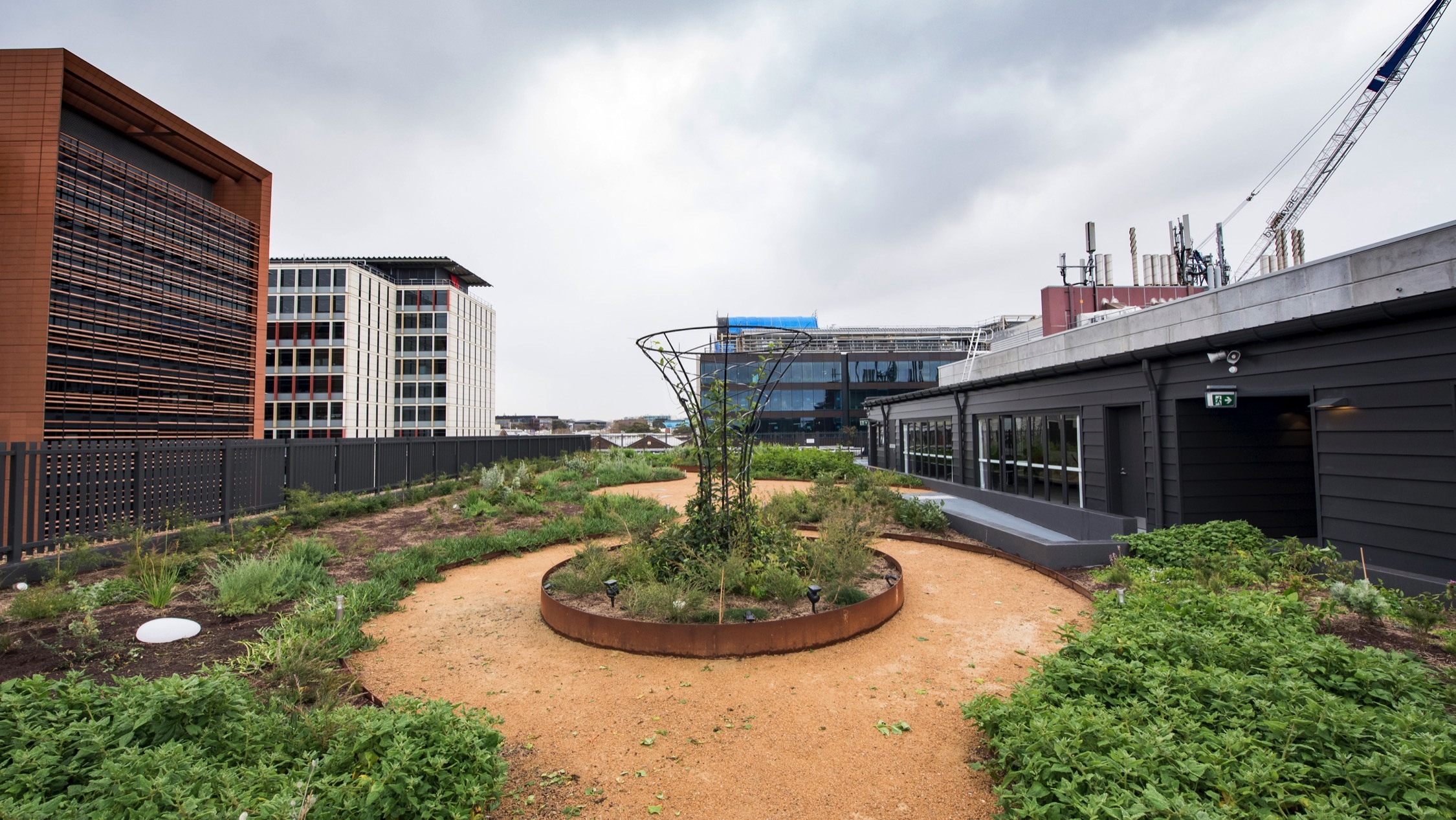 Urban farms in Sydney
