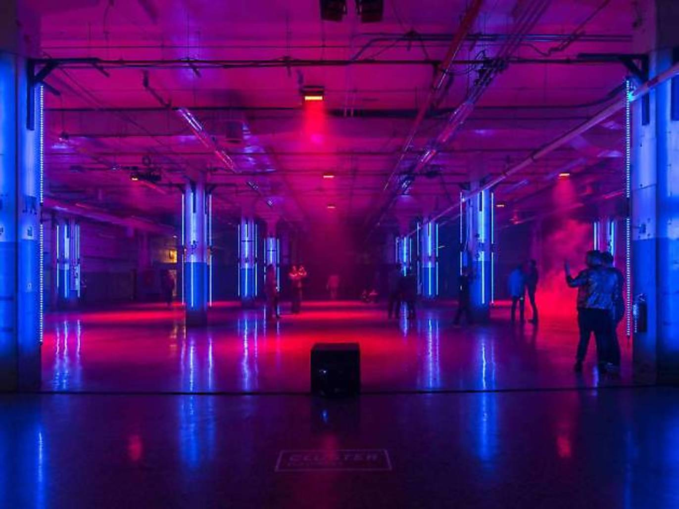 What to see at White Night 2019