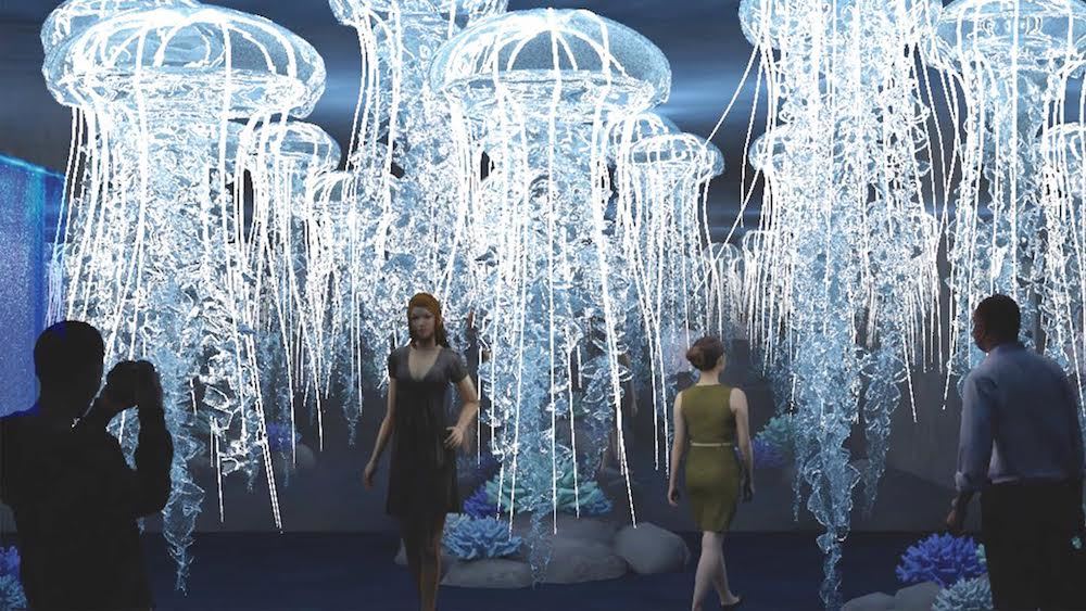 “Ocean Cube” | Things to do in New York Kids