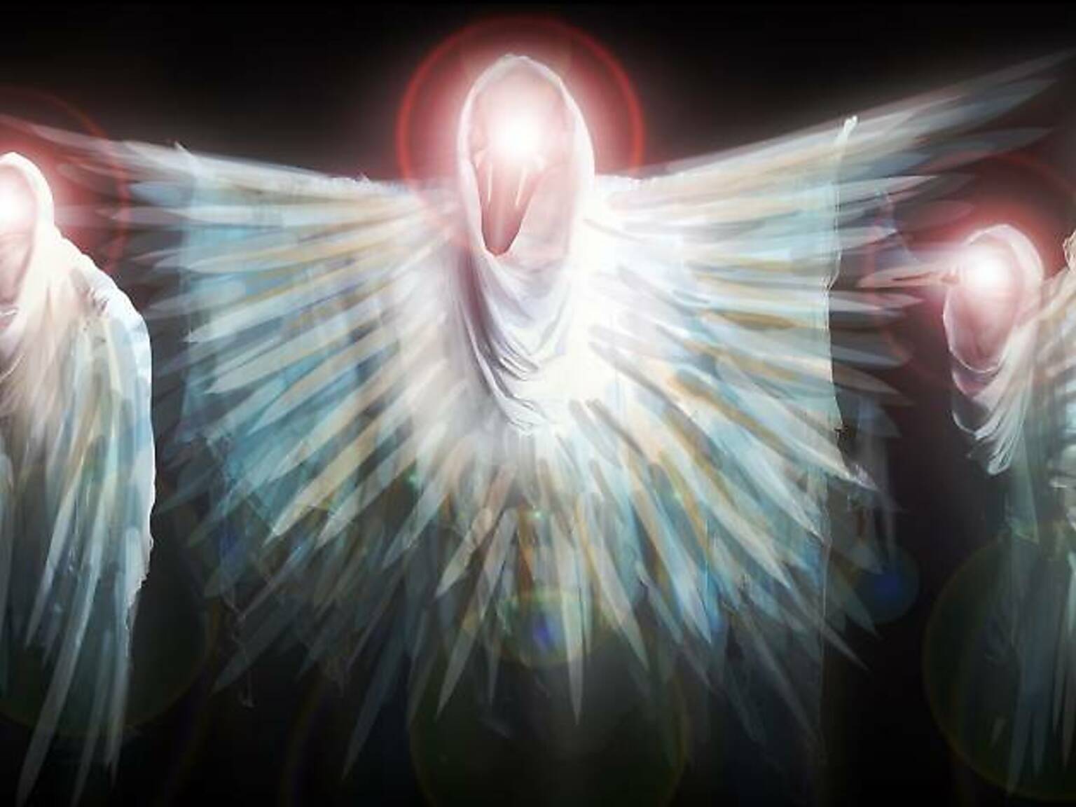 What to see at White Night 2019