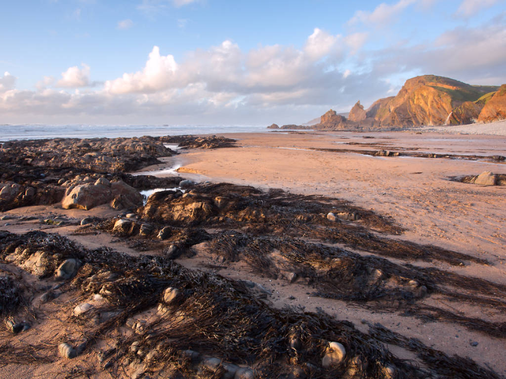 14 Best Beaches in Cornwall for Pretty Views and Clear Waters