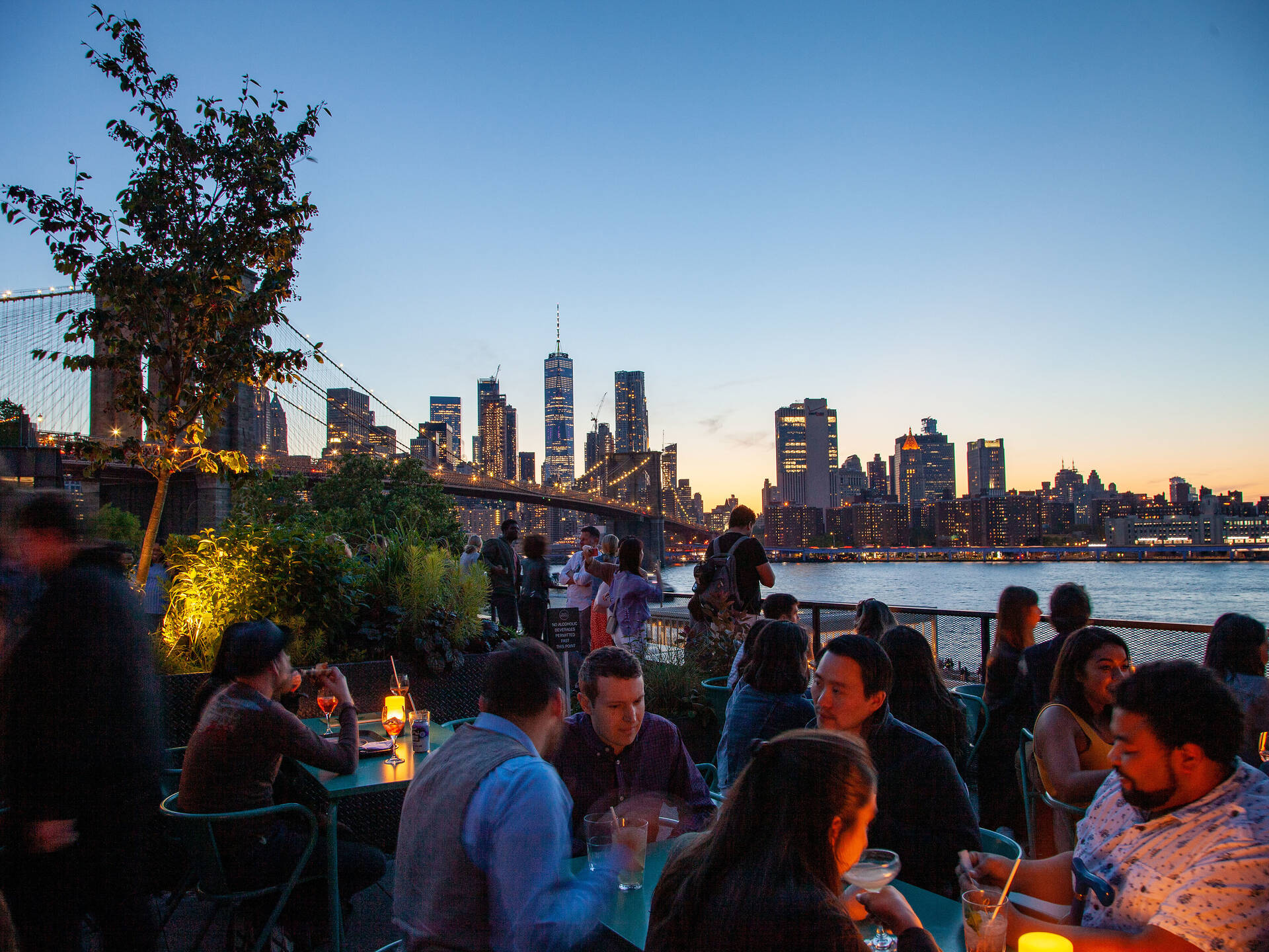 19 Best Rooftop Bars in NYC to Drink With a View