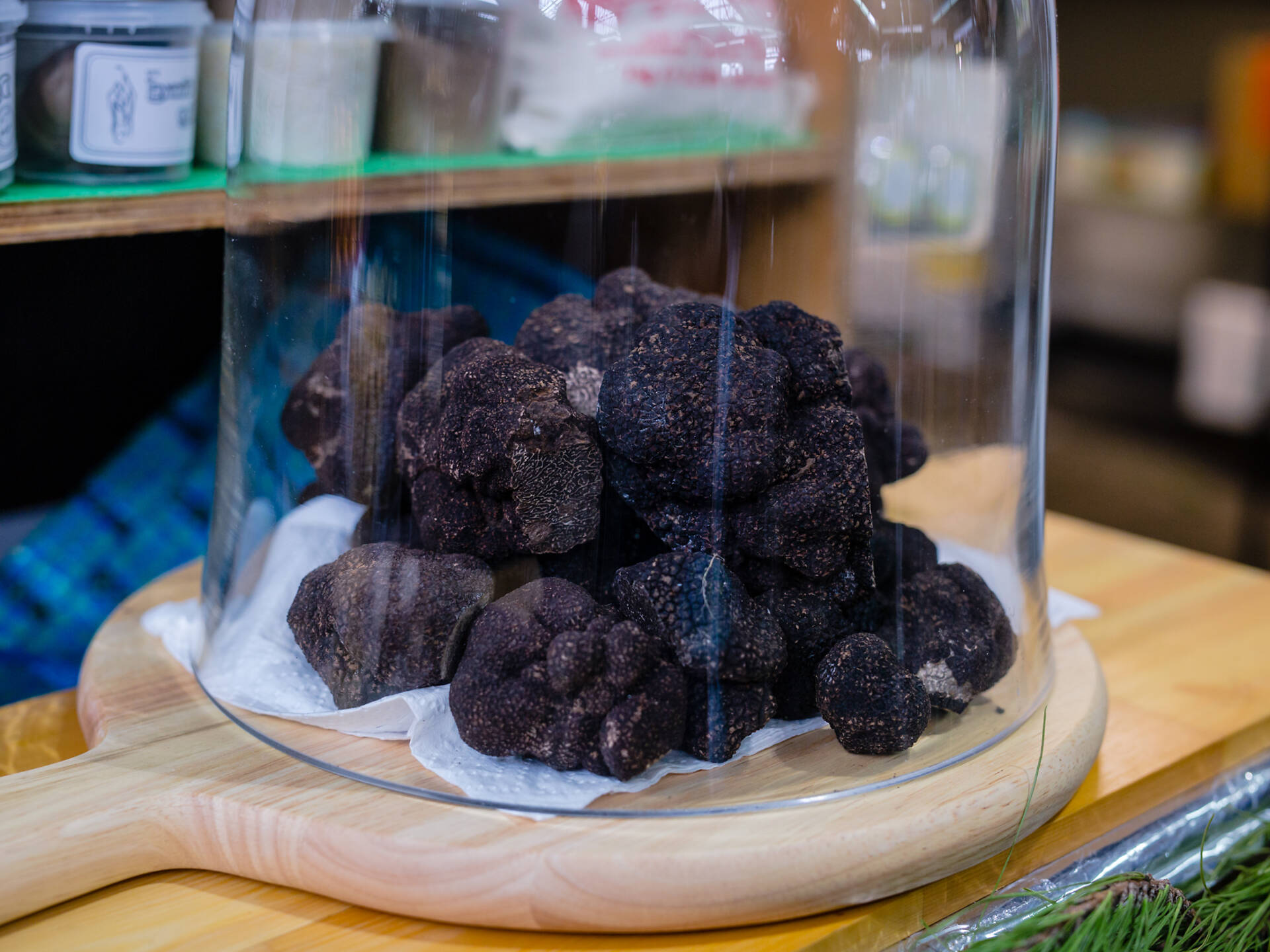 Melbourne truffle farms for hunts and tours
