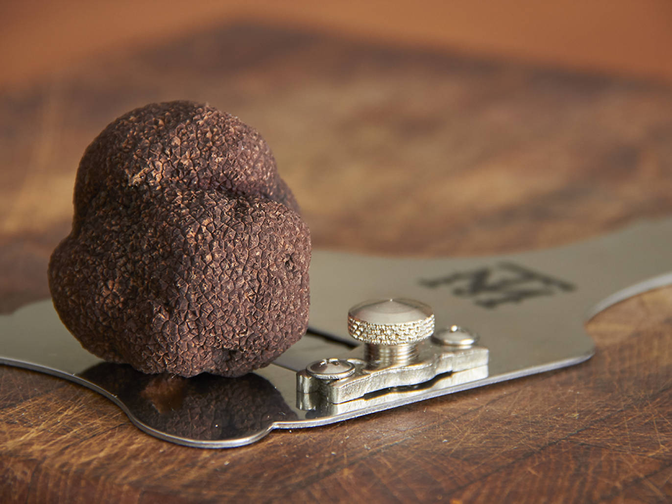 Melbourne truffle farms for hunts and tours