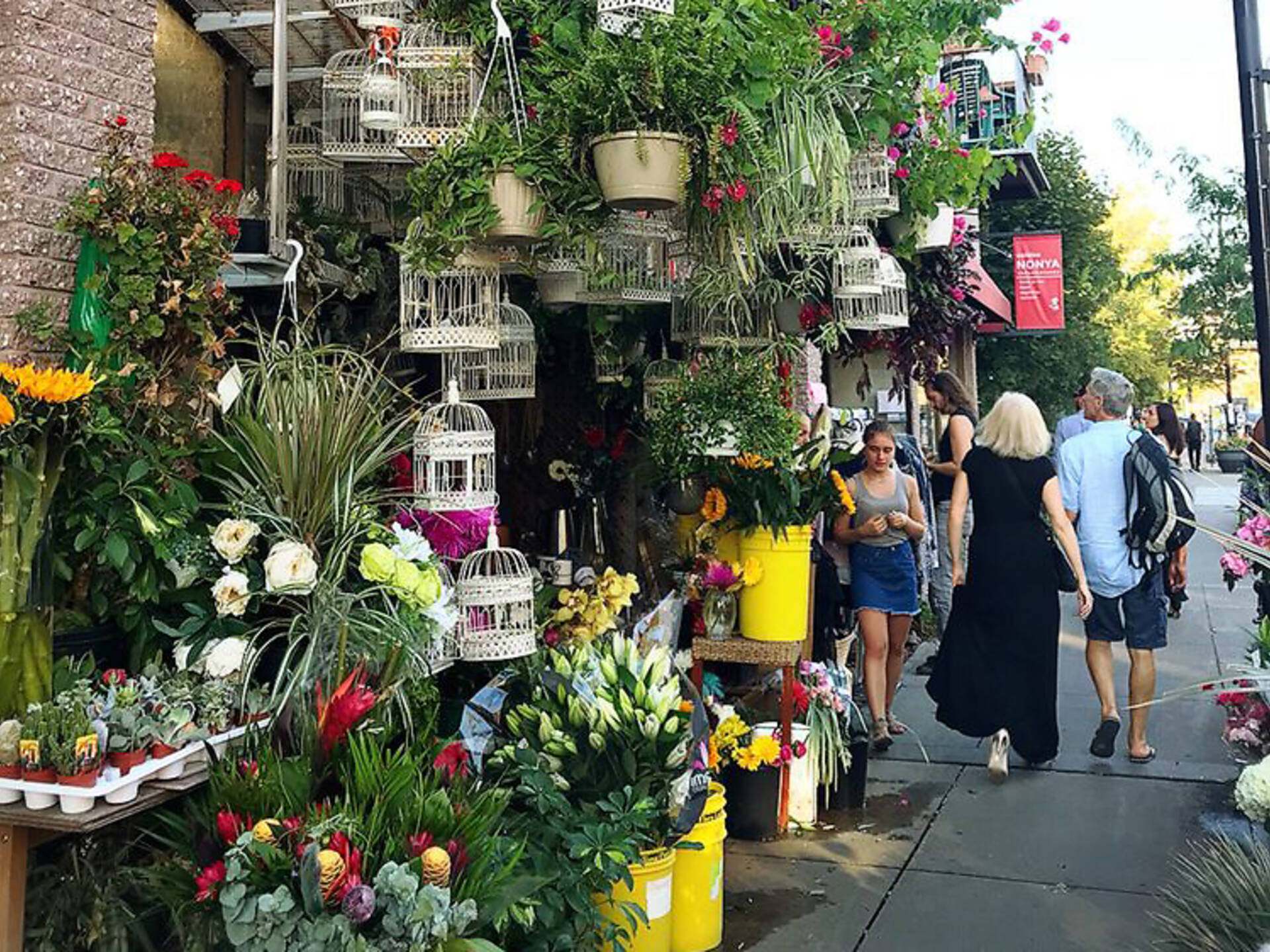 The 14 Best Montreal Flower Delivery Services: Order Online