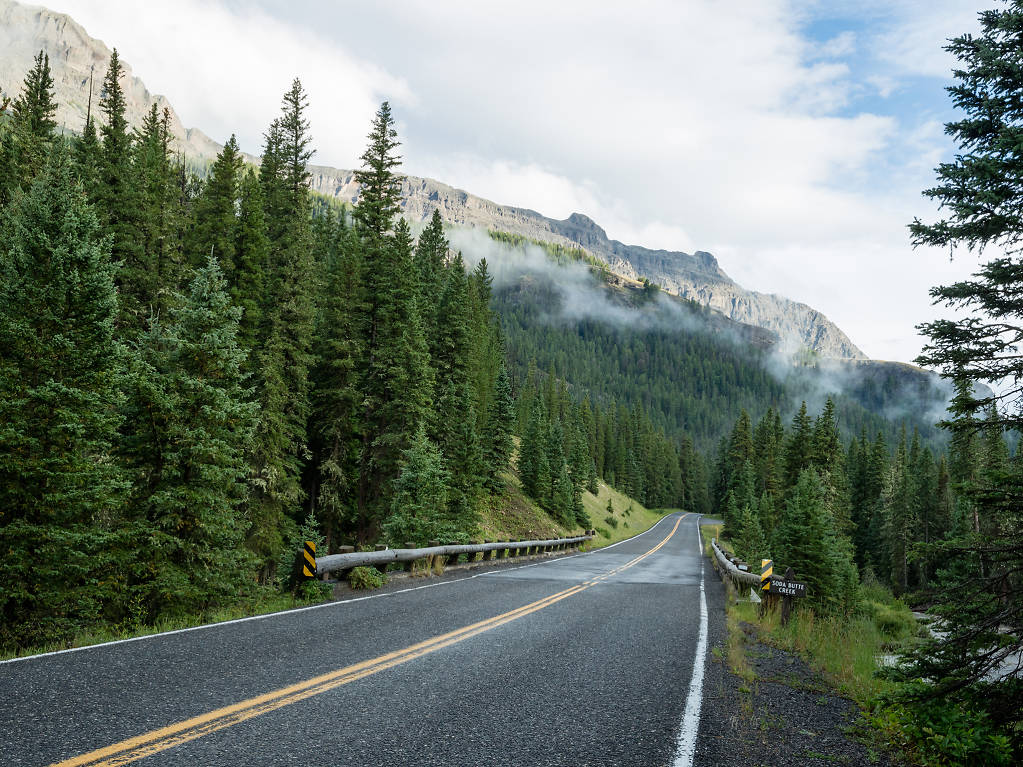 18 Best Road Trips in the USA To Take This Year
