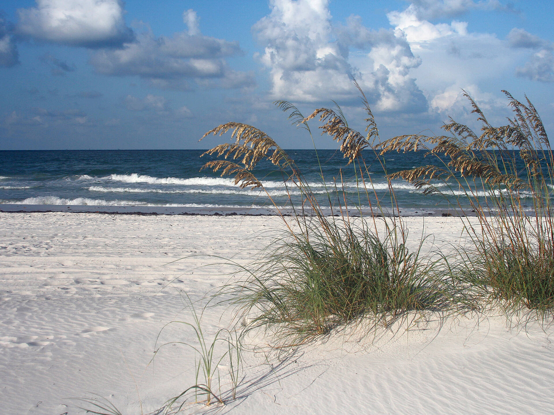 15 Best Beaches in Florida to Visit Right Now