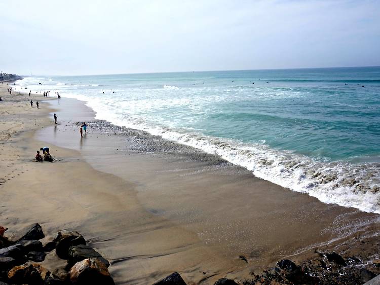 20 Best Beaches in San Diego for Year-Round Sun, Sand and Surf