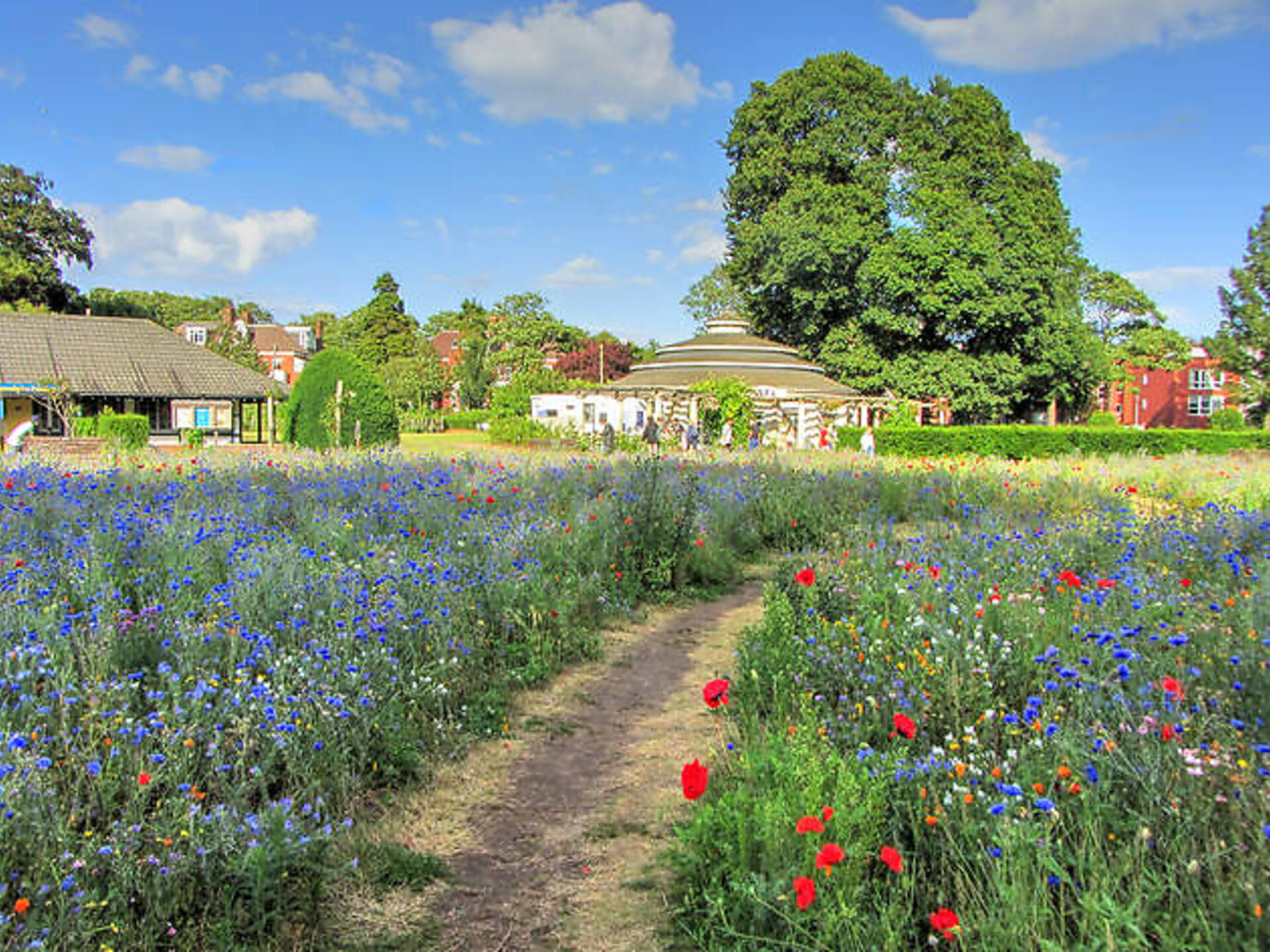 Best Things To Do in Brighton With Kids