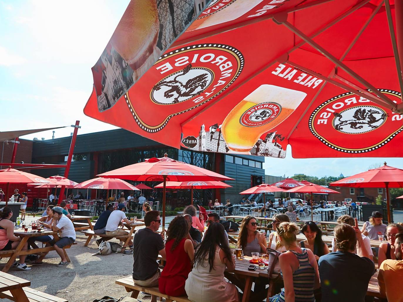21 Best Terrasses in Montreal To Enjoy Peak Summer