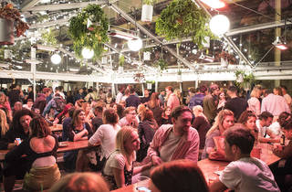 Peckham Springs | Bars and pubs in Peckham, London