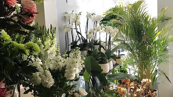 Merchant & Green | Shopping in Redfern, Sydney