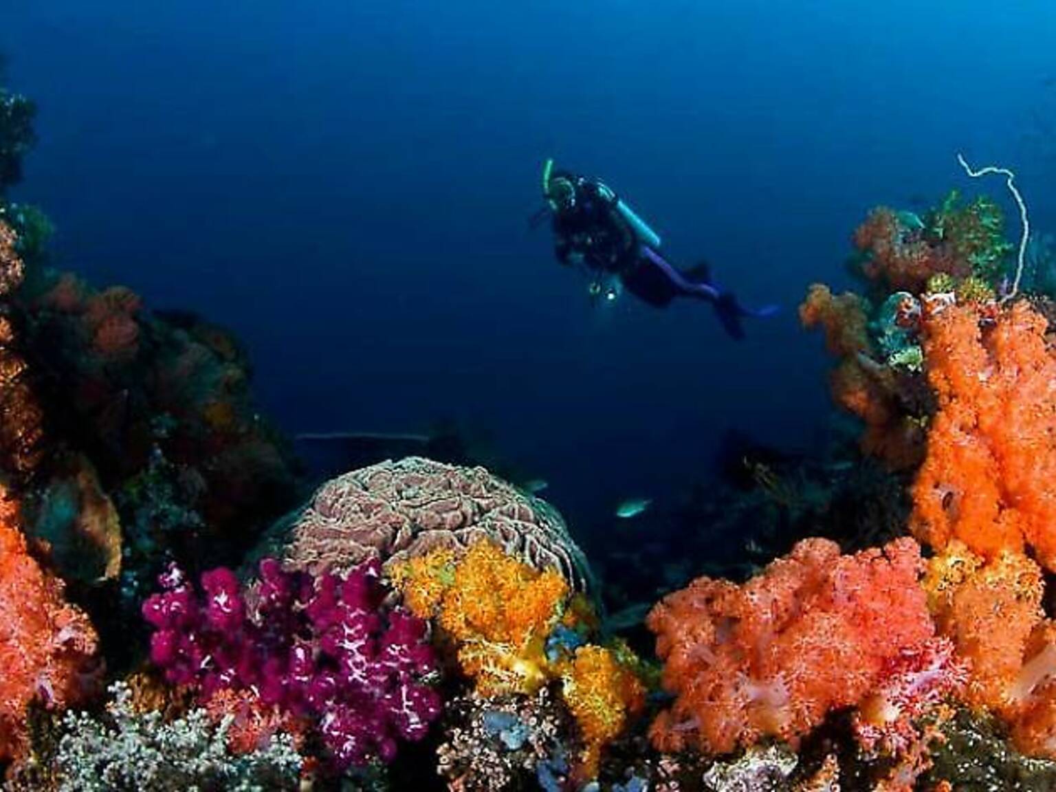 12 Best Diving Spots In Southeast Asia