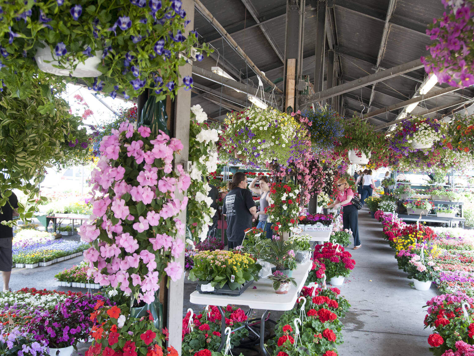 12 Best Farmers’ Markets in Montreal to Find the Freshest Product