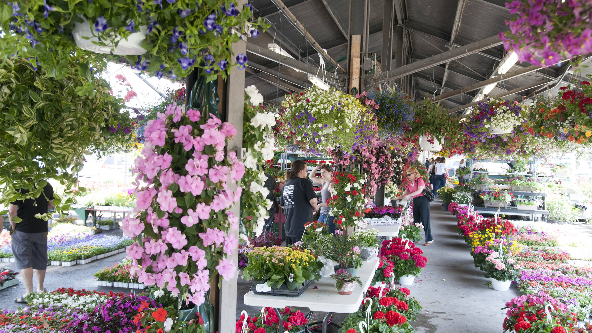 12 Best Farmers’ Markets in Montreal to Find the Freshest Product
