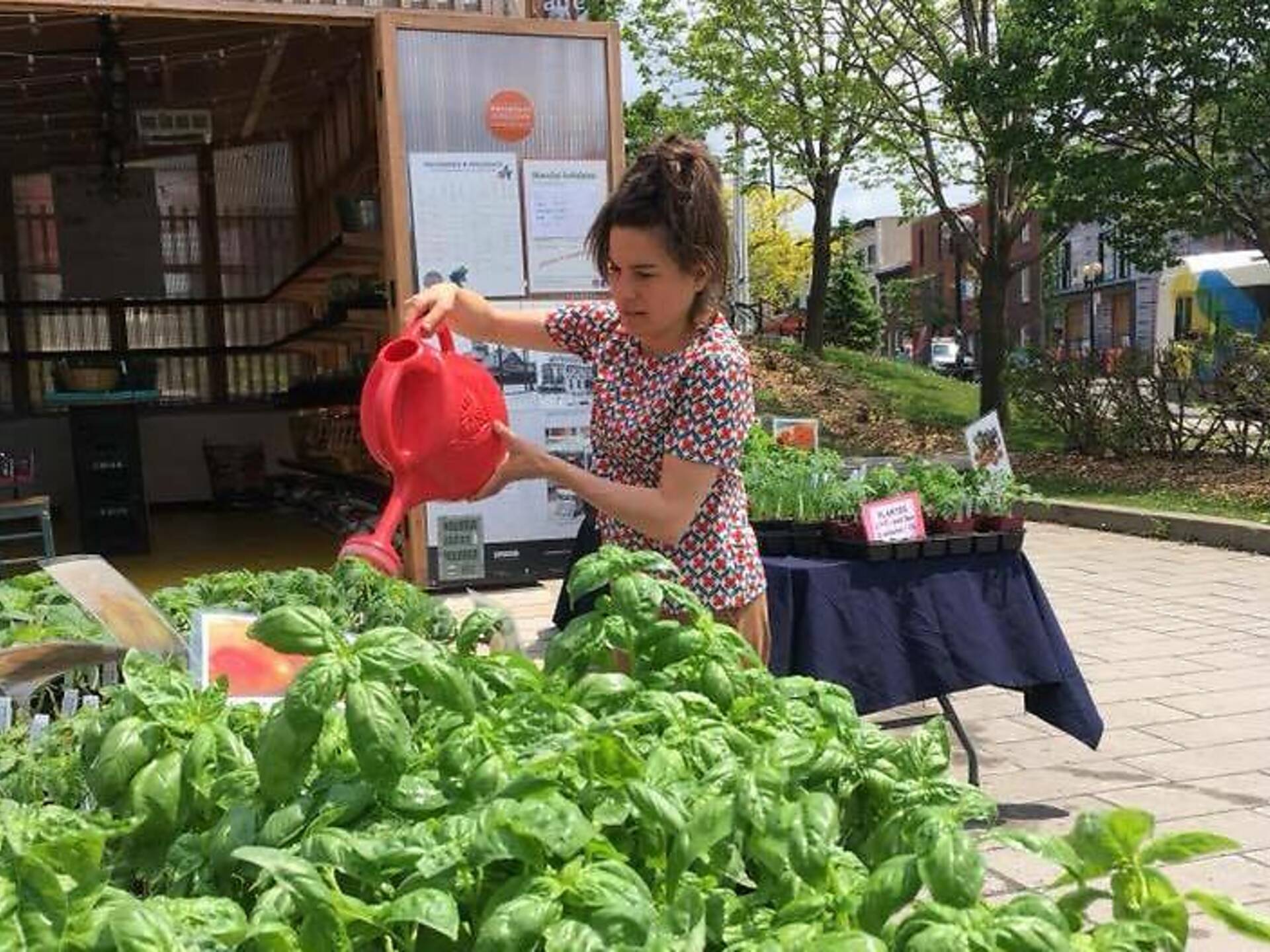 12 Best Farmers’ Markets in Montreal to Find the Freshest Product