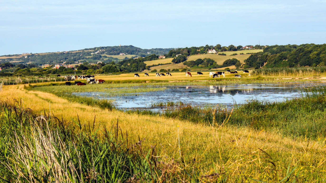 13 Breathtaking Areas of Outstanding Natural Beauty near London To ...