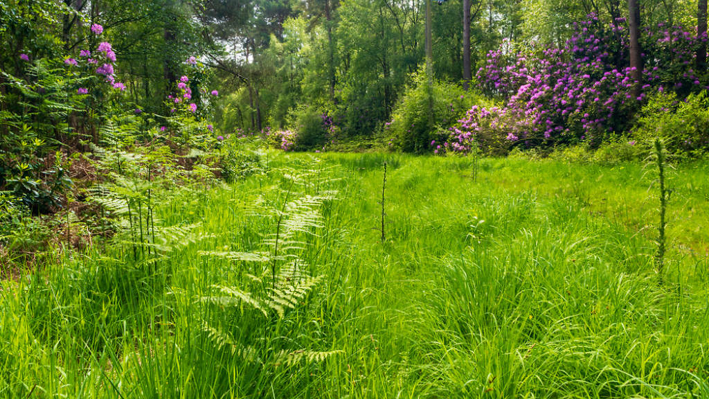 13 Breathtaking Areas of Outstanding Natural Beauty near London To ...