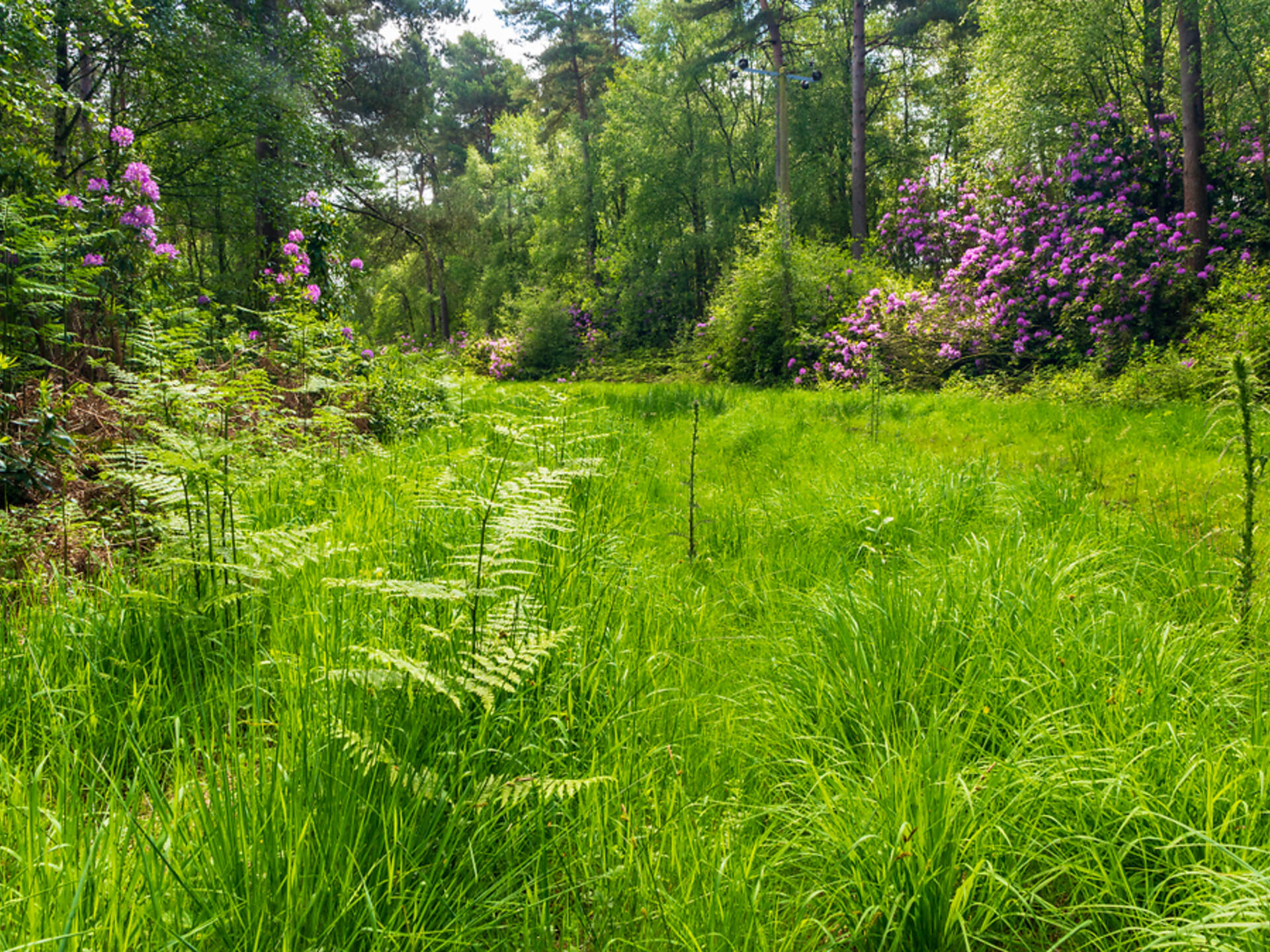 13 Breathtaking Areas of Outstanding Natural Beauty near London To ...