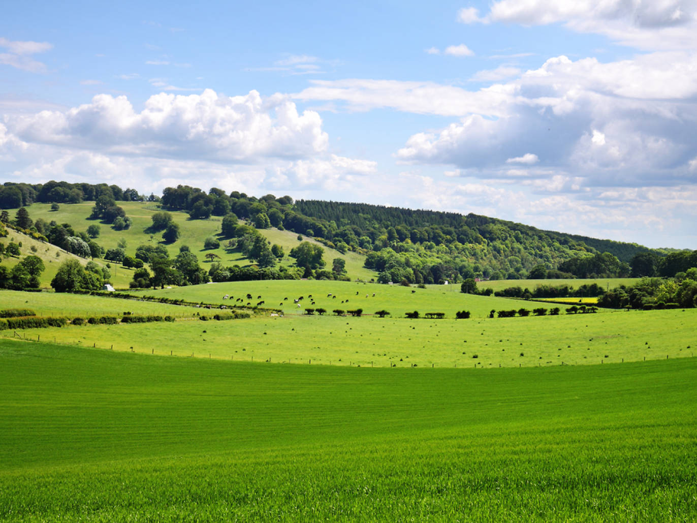 13 Breathtaking Areas of Outstanding Natural Beauty near London To ...