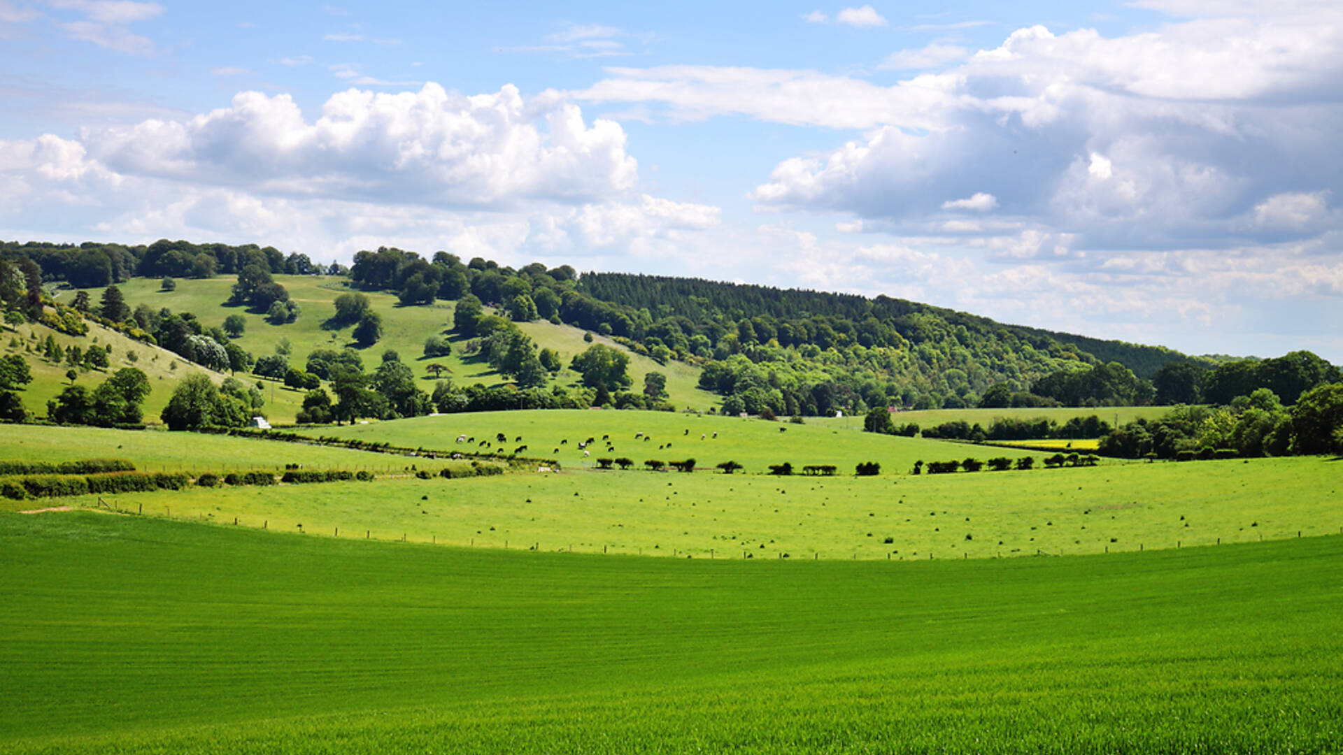13 Breathtaking Areas of Outstanding Natural Beauty near London To ...