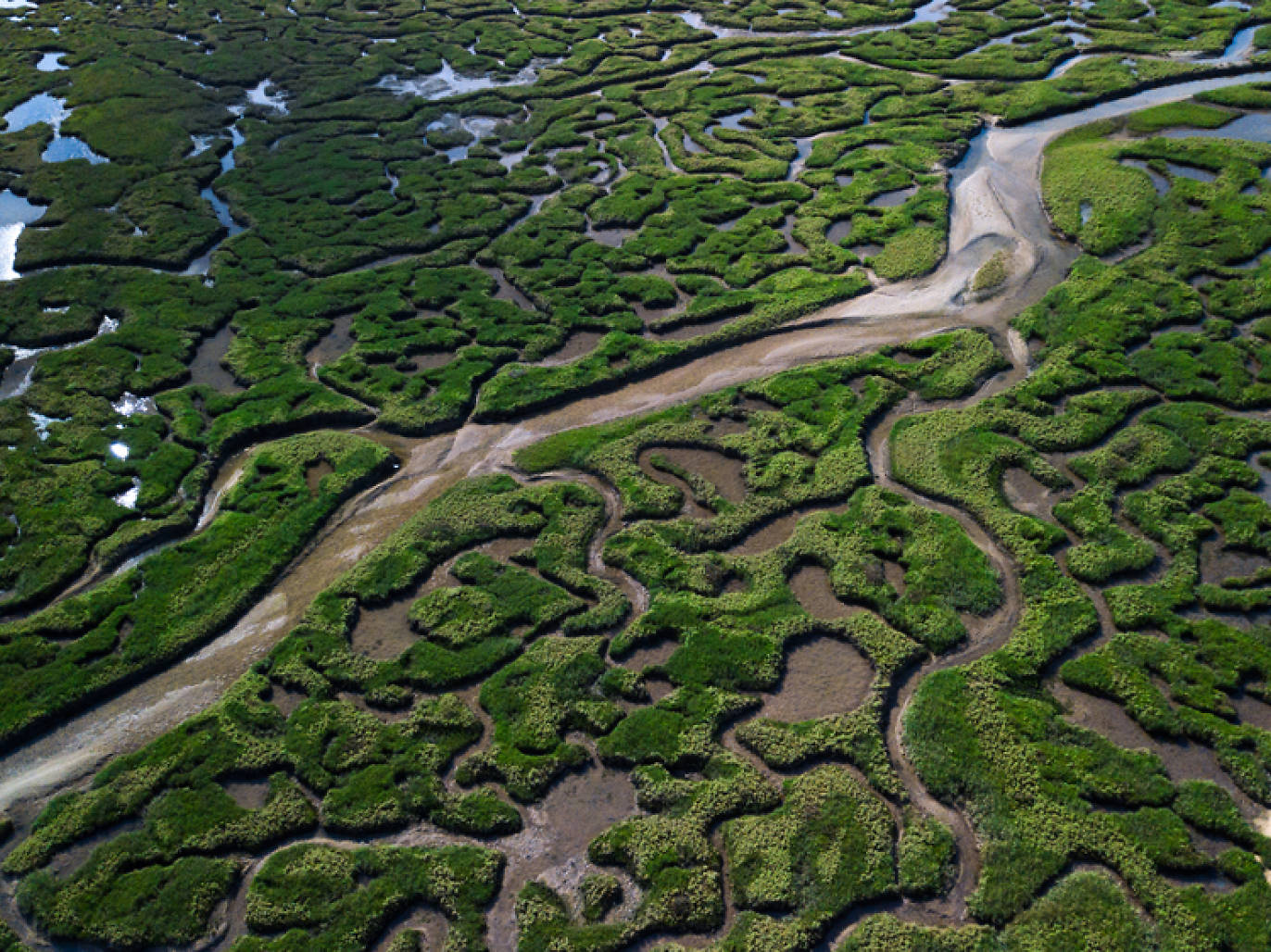 13 Breathtaking Areas of Outstanding Natural Beauty near London To ...