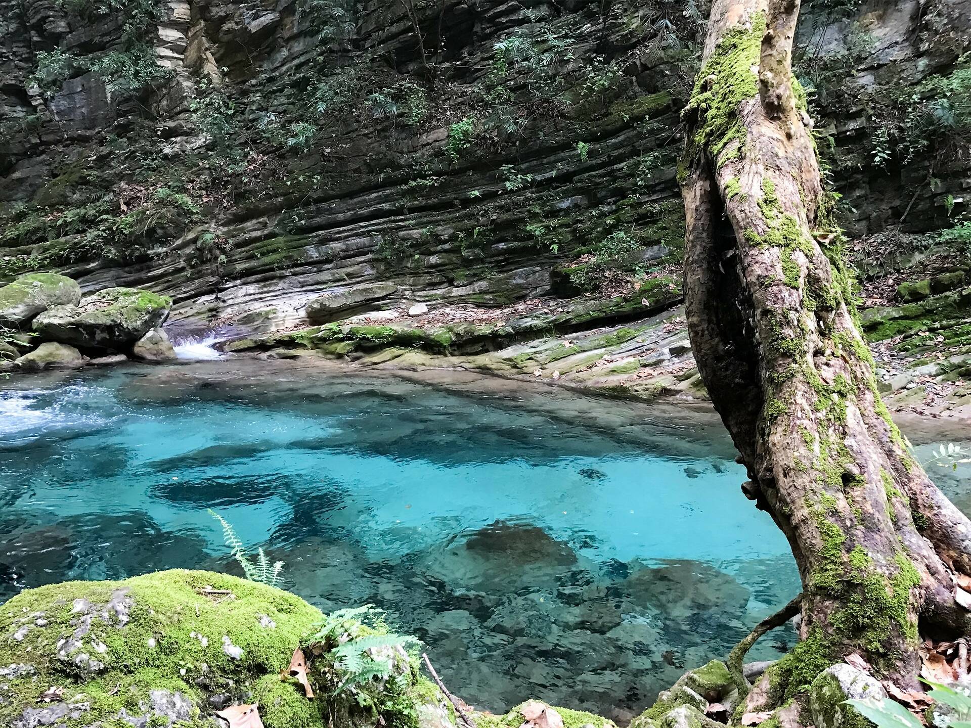 Tres destinos naturales que debes visitar en la Sierra Gorda de Querétaro