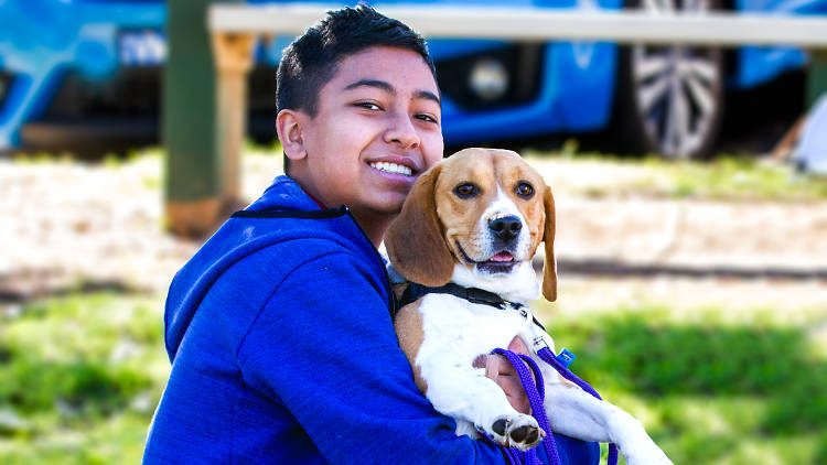 Pawsitive Steps – Mind, Doggy and Spirit Festival | Things to do in Sydney