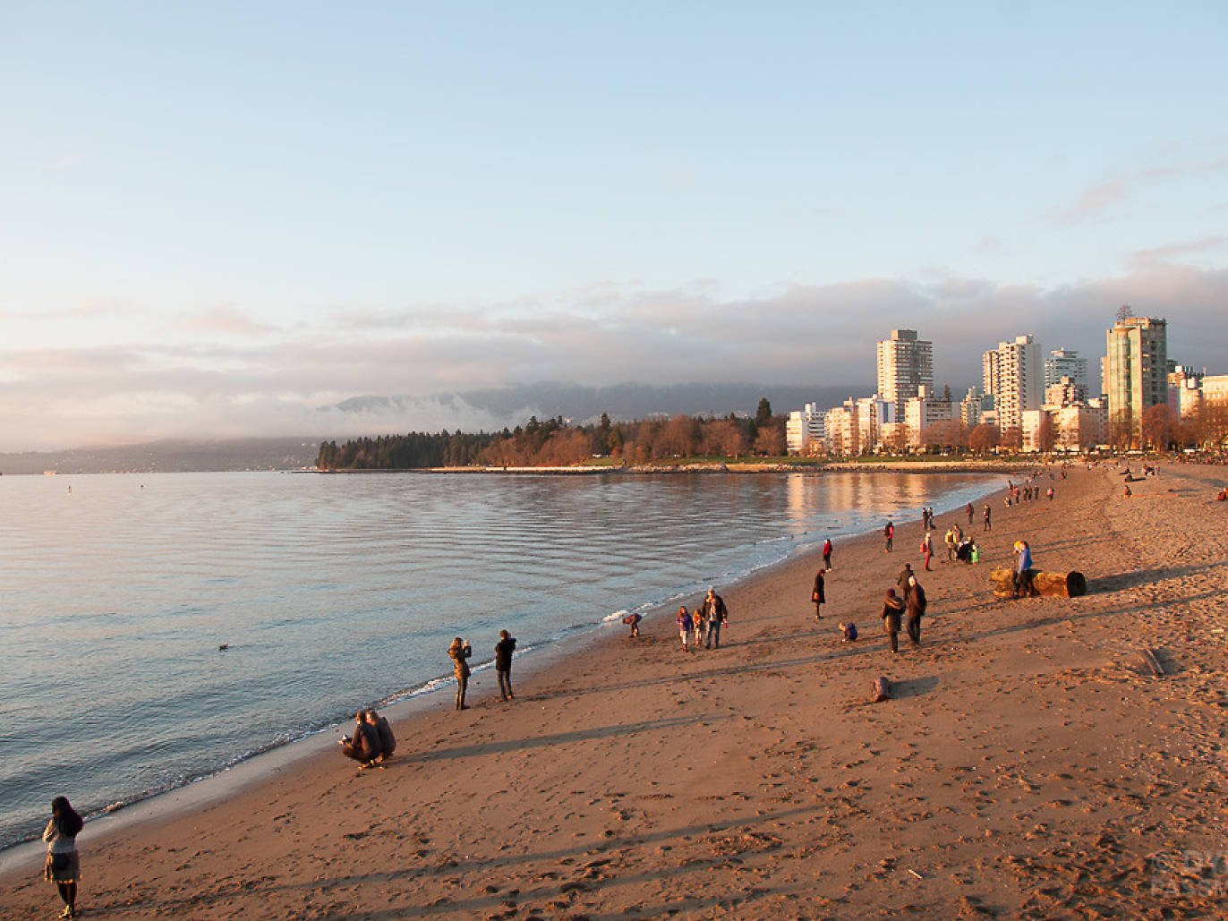 12 Best Beaches in Vancouver for Sunny Serenity