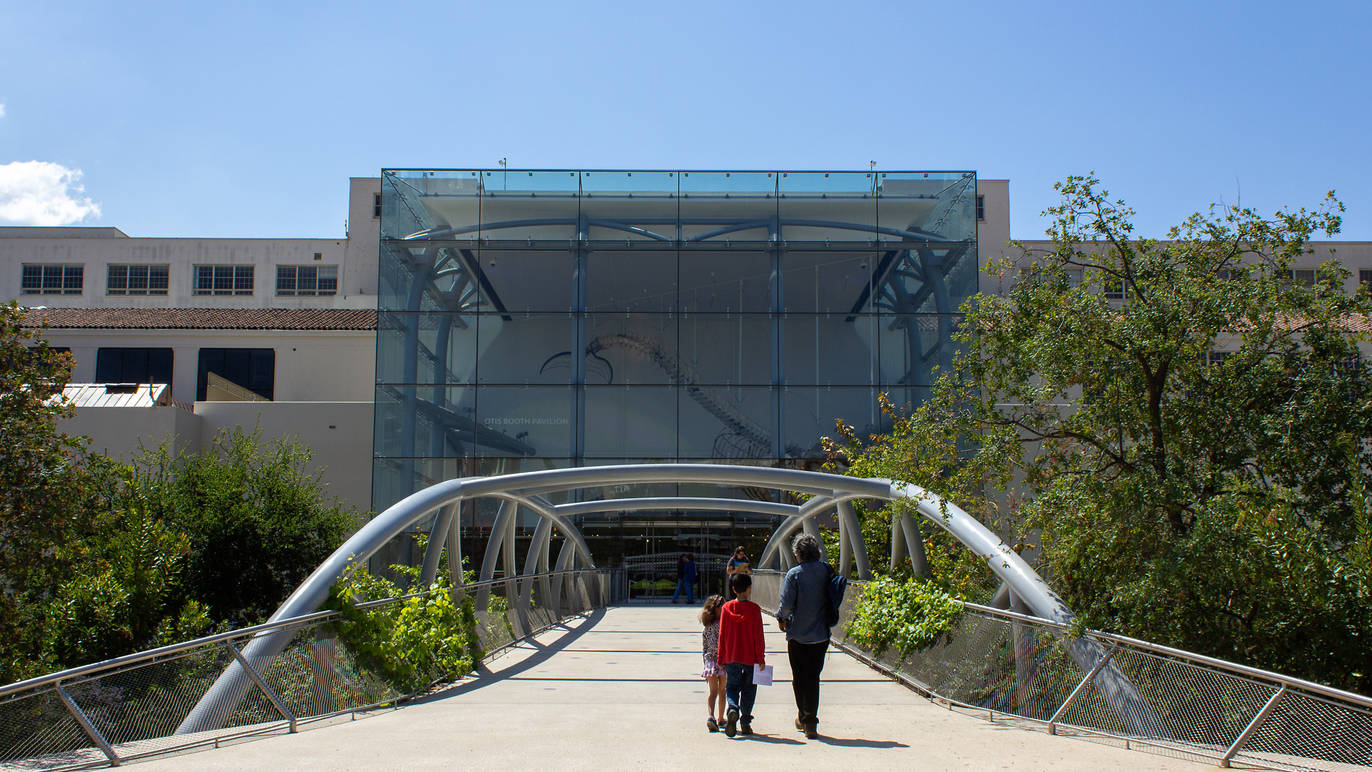 Natural History Museum Museums In Uscexposition Park Los Angeles