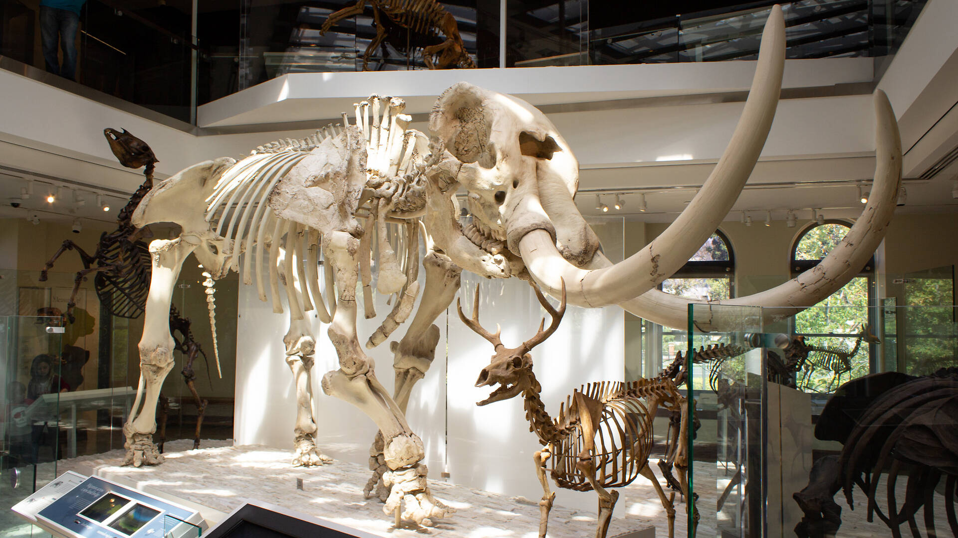 Natural History Museum | Museums in USC/Exposition Park, Los Angeles
