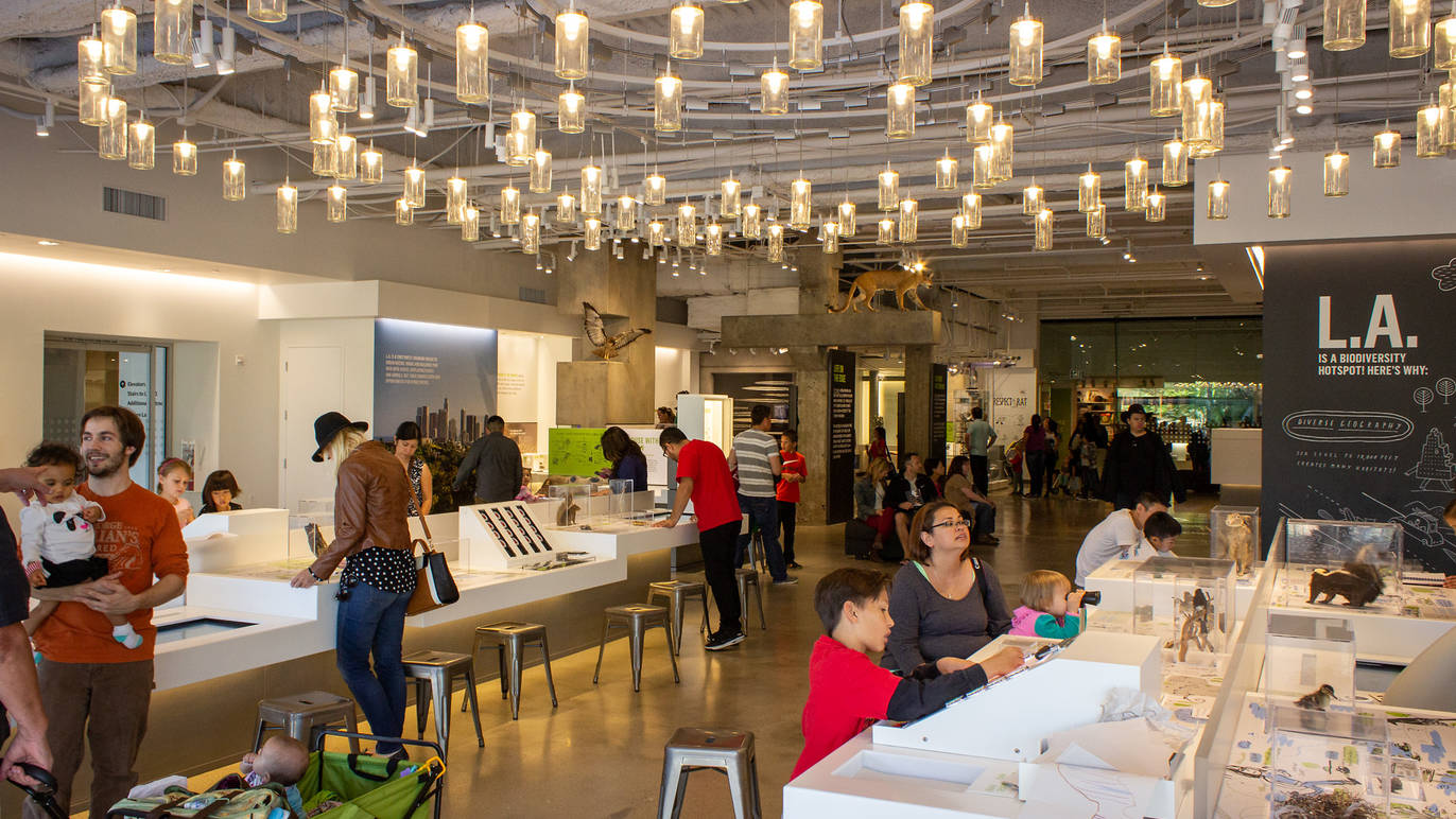 Natural History Museum | Museums in USC/Exposition Park, Los Angeles