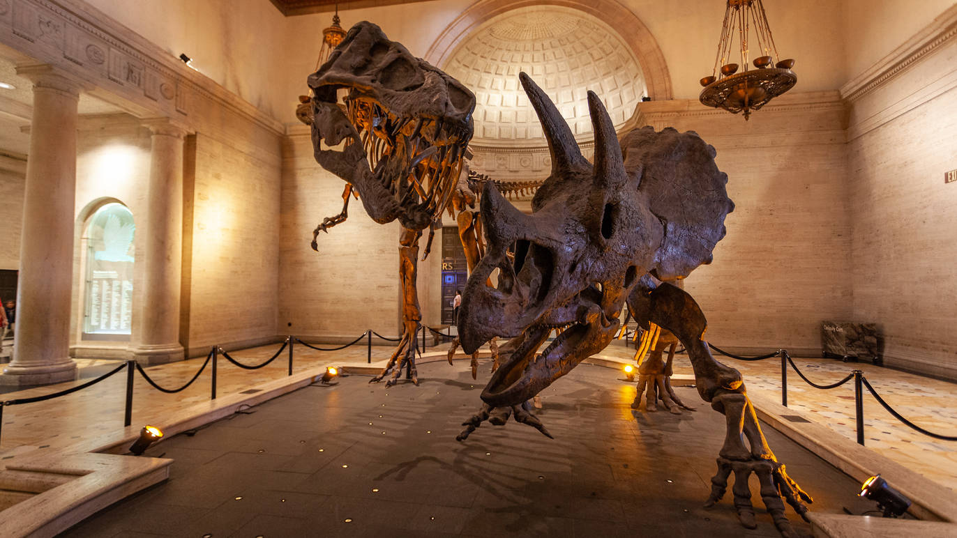Natural History Museum | Museums in USC/Exposition Park, Los Angeles