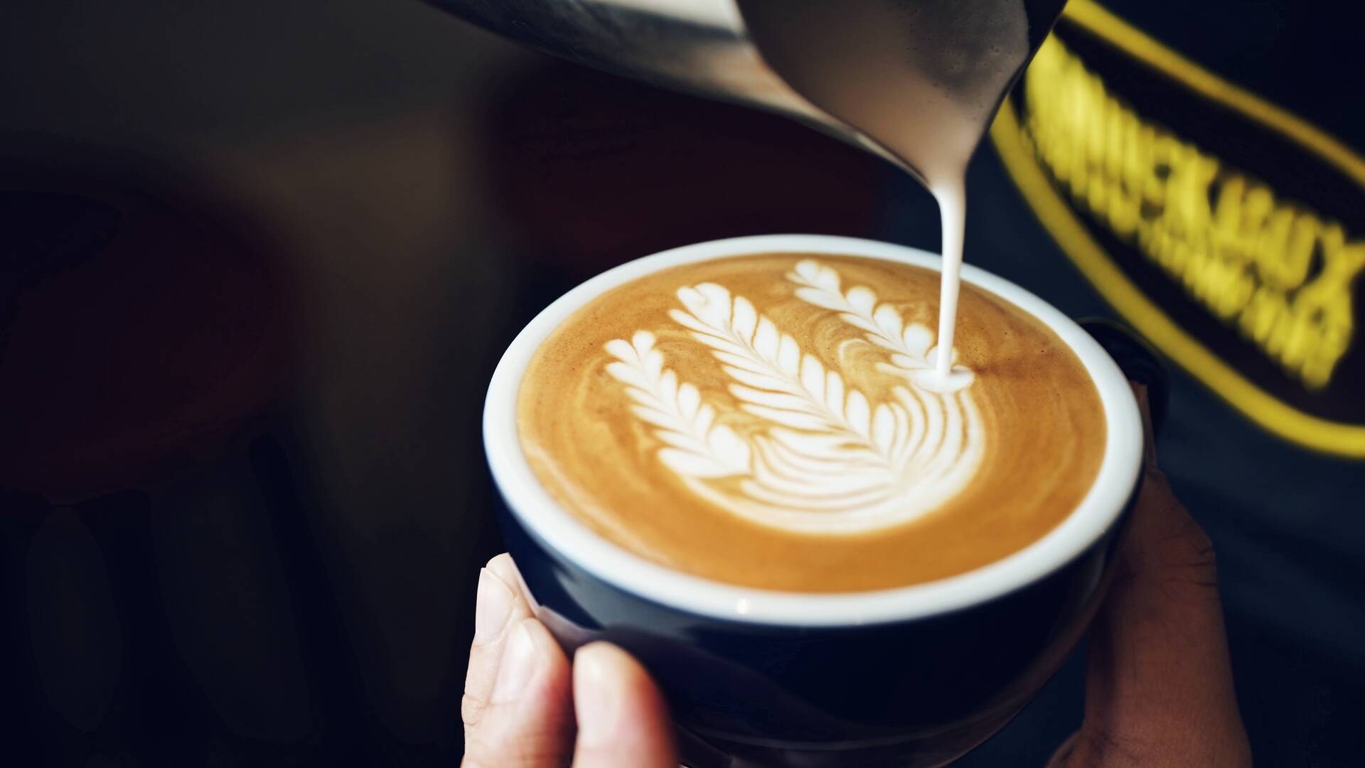 6 Best Coffee Workshops to Try in Hong Kong