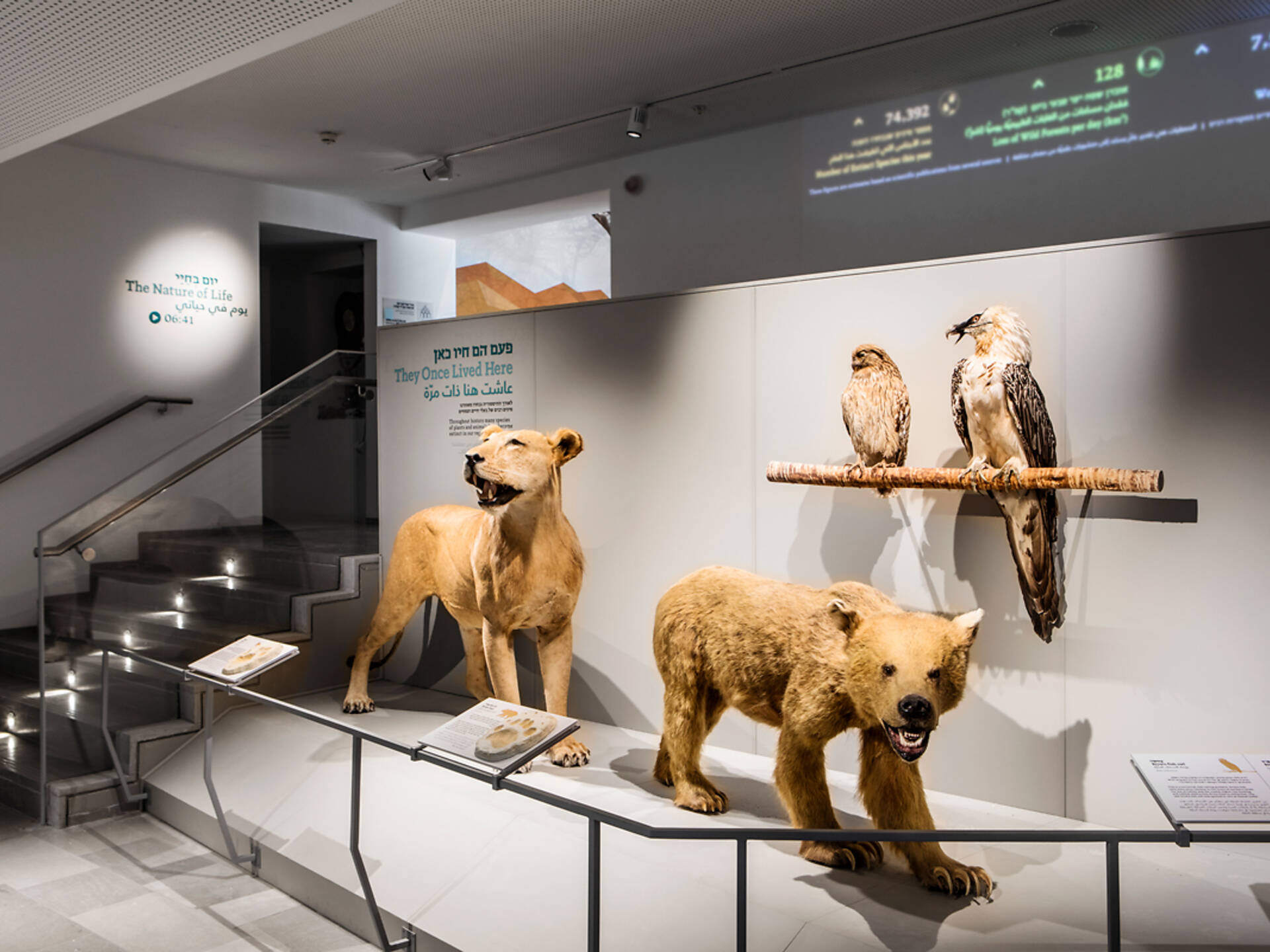 Israel museums - showing the best Israeli art, science and history