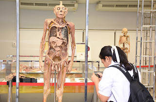 The Human Body Museum | Museums in Siam, Bangkok