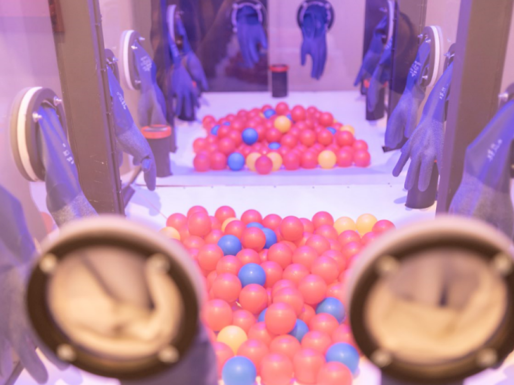 Ponha os seus limites à prova no Banzai, o novo espaço da Invicta