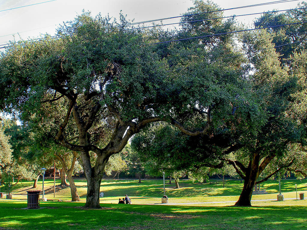 Best Parks in Los Angeles, From Griffith Park to Grand Park