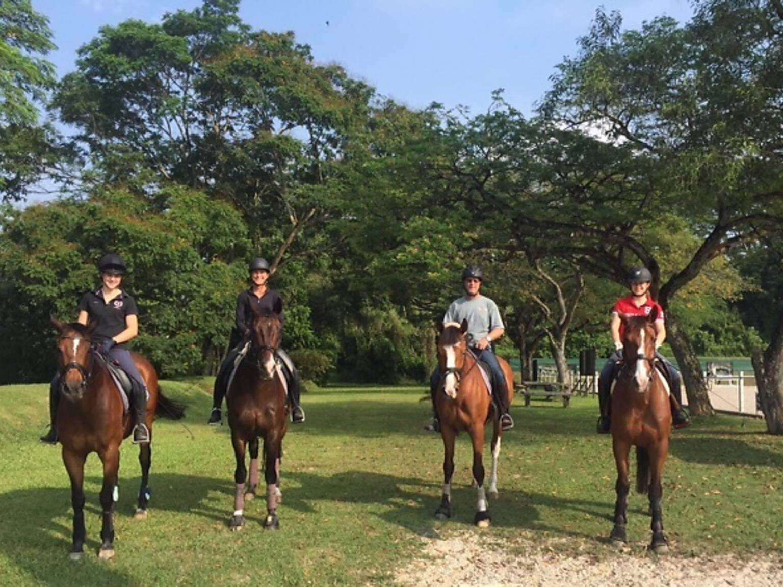 The Best Stables To Learn Horse Riding in Singapore