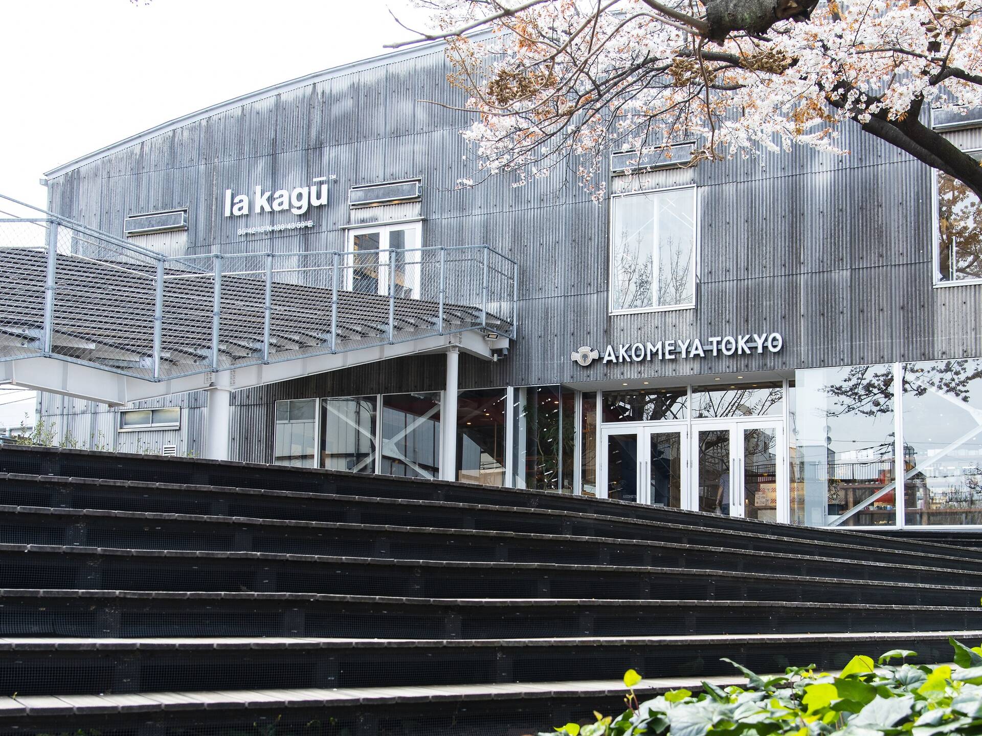 17 best things to do in Kagurazaka, Tokyo