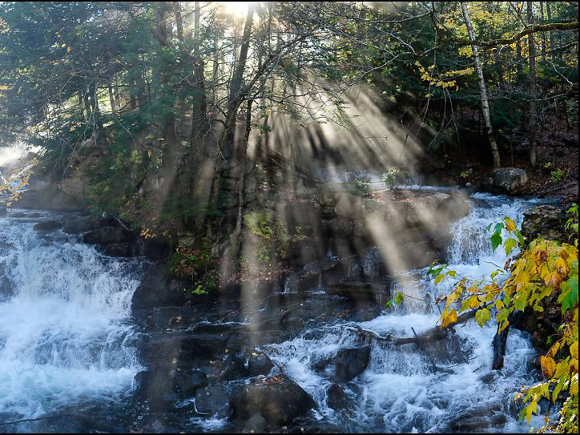 16 Best Places for Camping Near Montreal