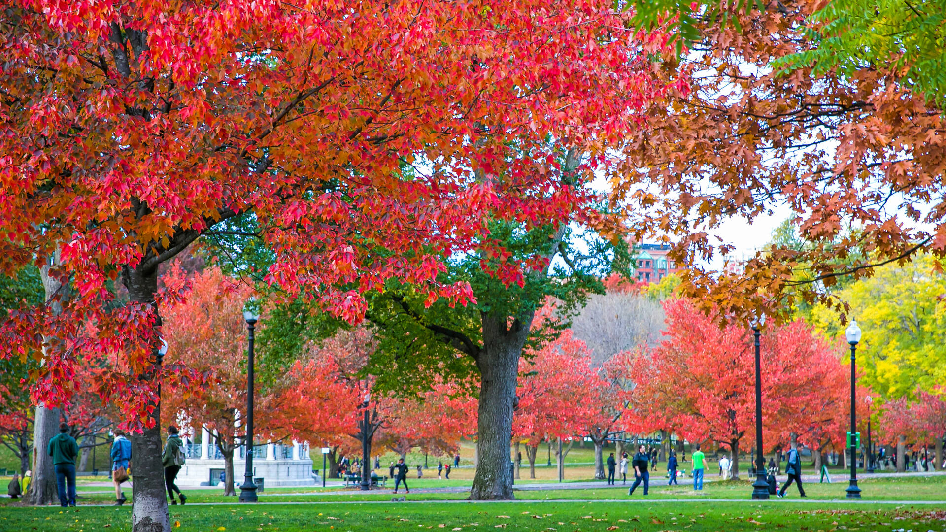 14 Places in Boston to See Fall Foliage for Gorgeous Fall Colors